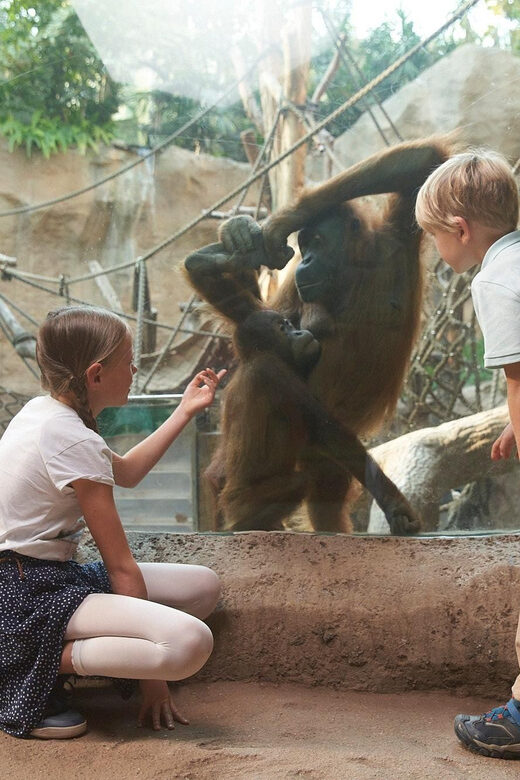 Leipzig Zoo: Entry Ticket - An Overview of Leipzig Zoo’s Unique Appeal