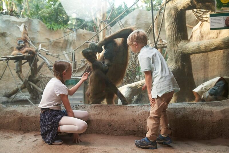Leipzig Zoo: Entry Ticket - Who Will Enjoy Leipzig Zoo the Most?