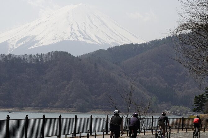 Leisure Cycling Tour Around Mt. Fuji's Five Lakes - An In-Depth Look at the Tour Experience