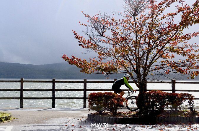 Leisure Cycling Tour Around Mt. Fuji's Five Lakes - Who Should Consider This Tour?