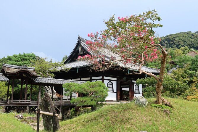 Leisurely Kyoto Half Day Walking Tour - Who Should Consider This Tour?