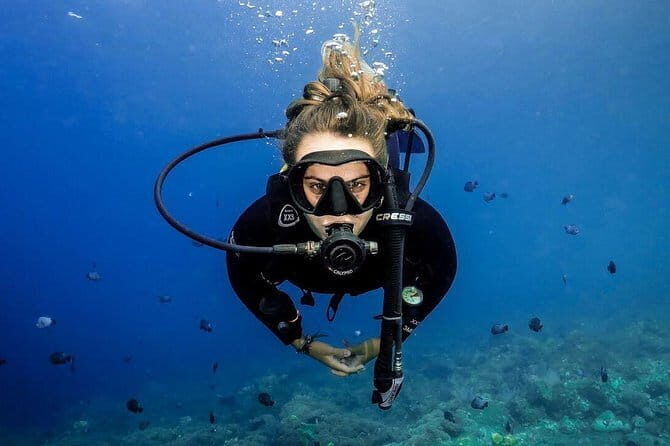 Lembongan Snorkeling at Manta Point Crystal Bay and Mangrove - Analyzing the Value