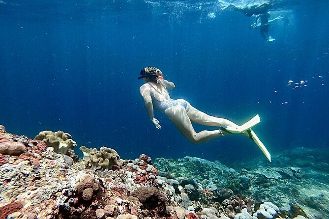 Lembongan Snorkeling Day Trip - Snorkeling Highlights: Top Spots and What to Expect