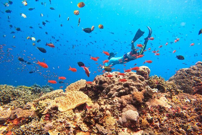 Lembongan Snorkeling Swim With Manta Rays and Island Tour - Key Points