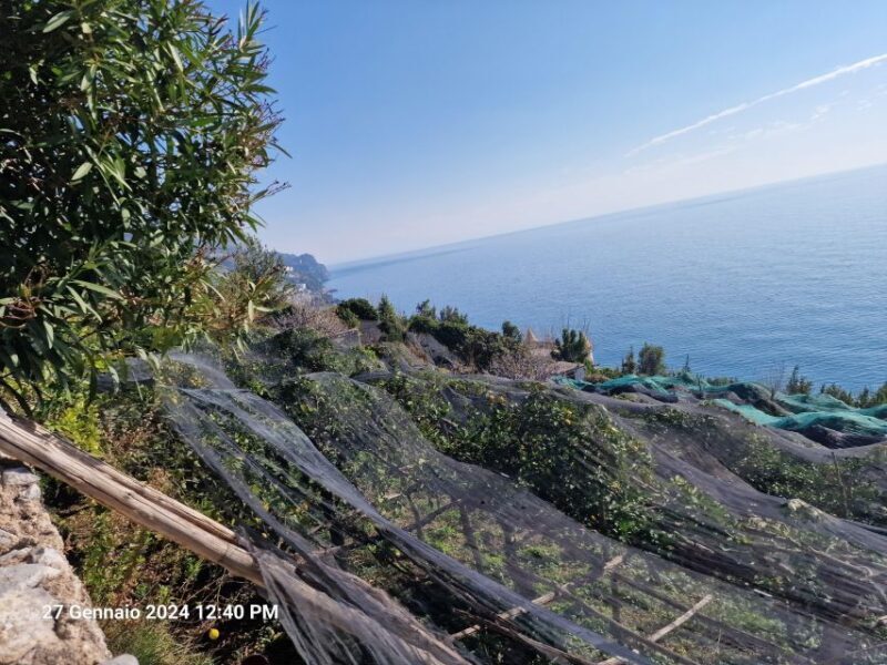 Lemon Path - Amalfi coast - Key Points