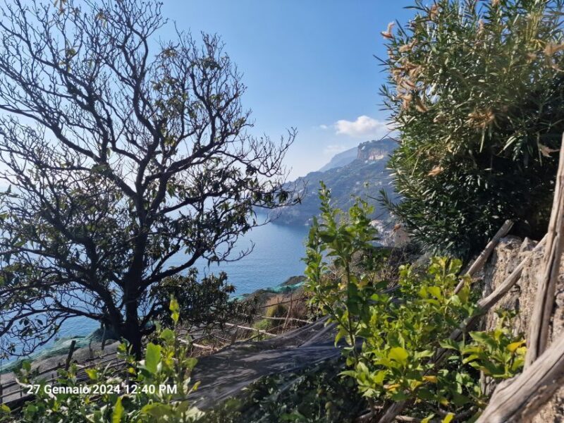 Lemon Path - Amalfi coast - A Visit to a Lemon Farm (Optional)