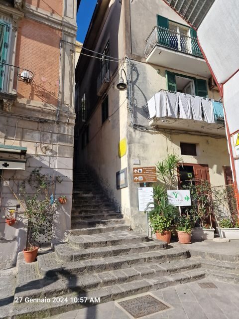 Lemon Path - Amalfi coast - Scenic Views & Local Culture