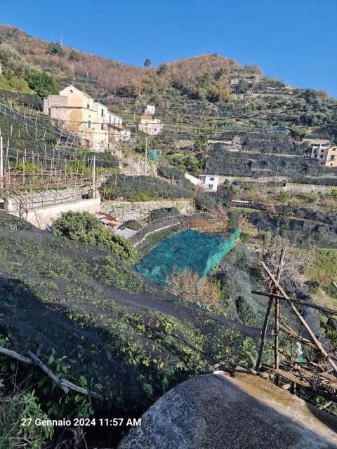 Lemon Path - Amalfi coast - Ending at Minori and Optional Sea Swim