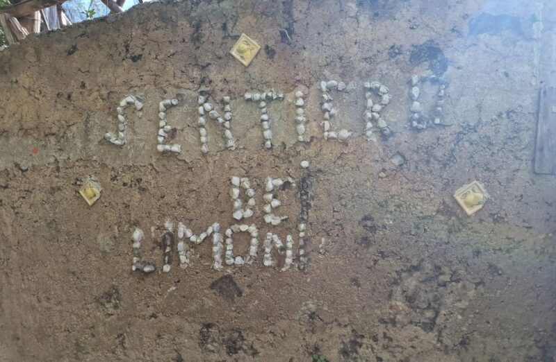 Lemon Path - Amalfi coast - Who This Tour Suits Best