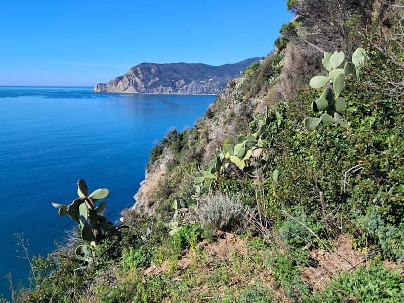 Lemon tour with limoncino tasting in Vernazza (Cinque Terre) - Practicalities & Tips