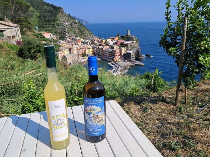 Lemon tour with limoncino tasting in Vernazza (Cinque Terre) - Cost & Value