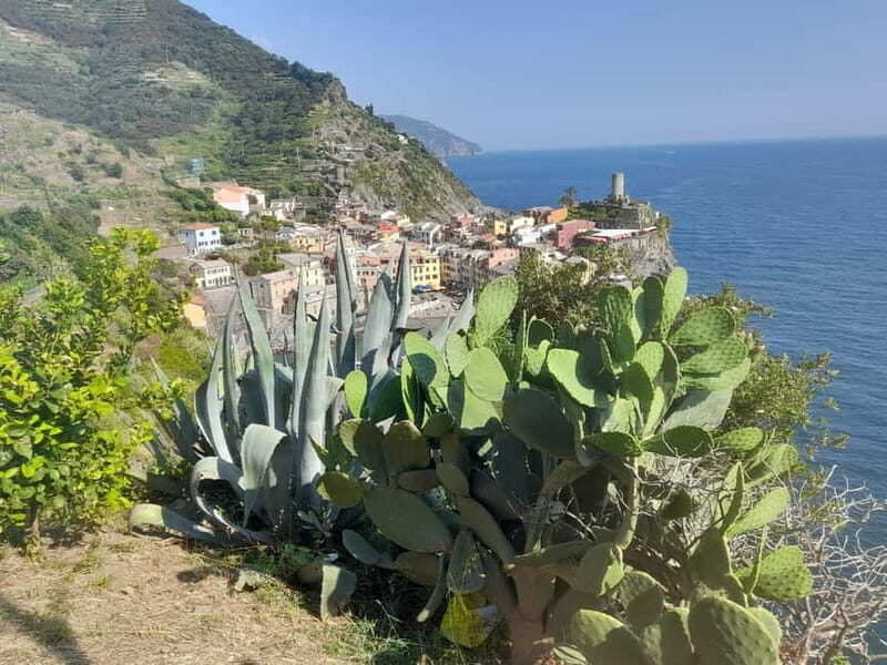 Lemon tour with limoncino tasting in Vernazza (Cinque Terre) - The Sum Up