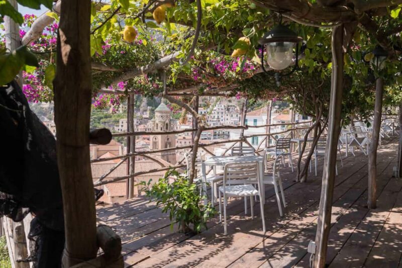 Lemons & Breathtaking Views: Amalfi Monumental Garden Tour - The Sum Up