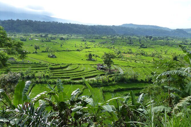 Lempuyang Gate of Heaven Tour - The Sum Up