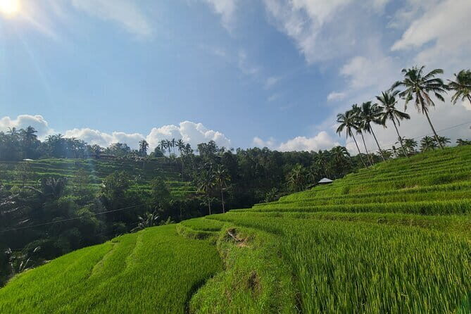 Lemukih Hidden Trekking Waterslide Sekumpul and Fiji Waterfall - Final Thoughts