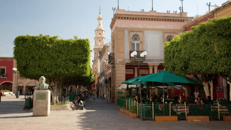 Leon: City Center Guided Tour with Nieve de Garrafa Tasting - Real Traveler Insights and Feedback