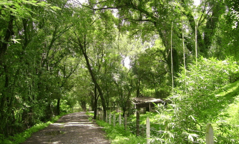 Leon: Jalpa in Its Natural State Tour with Lunch - Walnut Orchard Visit