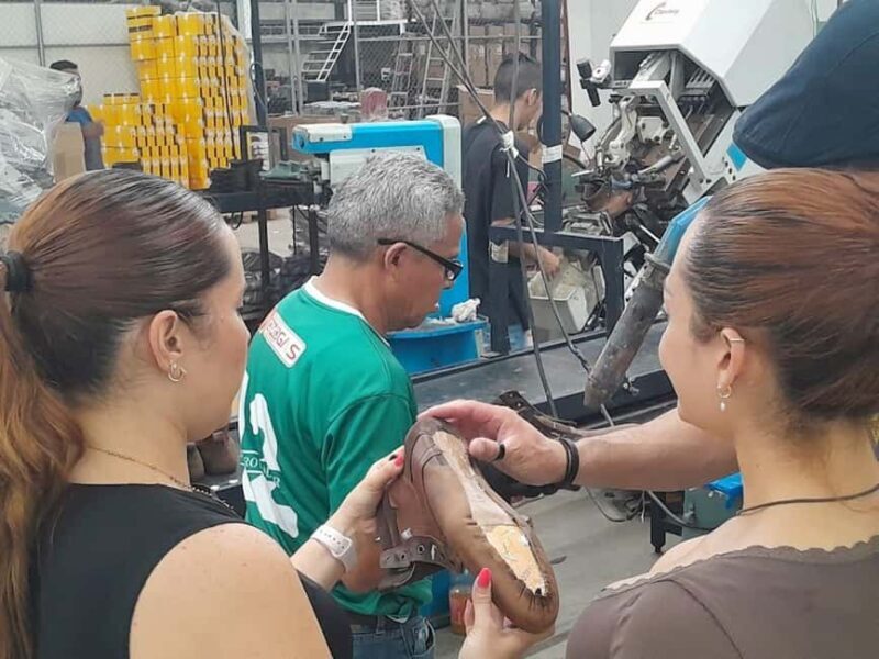 León: Leather and Footwear Industry Tour - Key Points