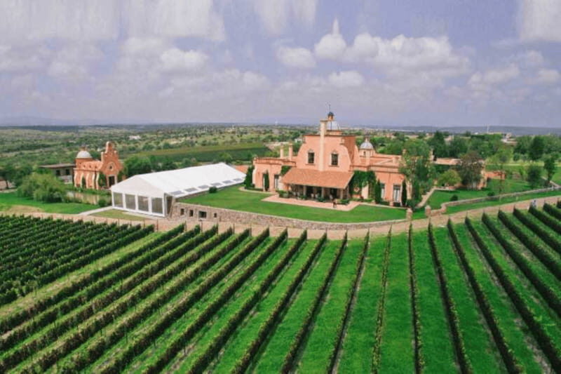 Leon: Viñedo Tierra de Luz Tour with Wine Tasting - The Practical Side