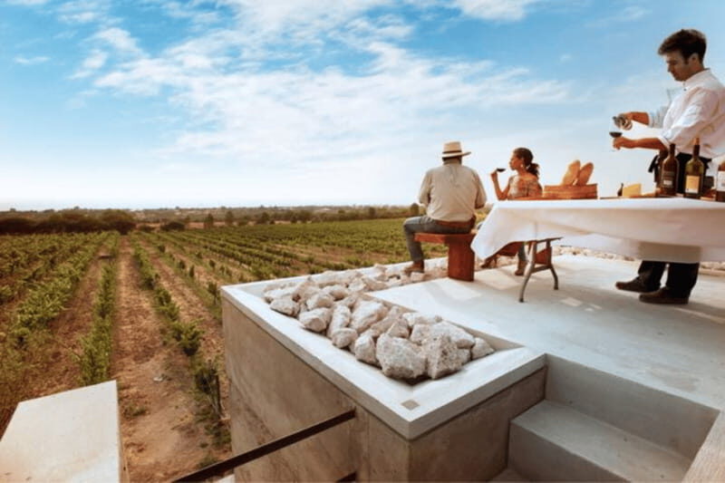 León: Wine Tasting & Vineyard Tour at Viñedo Jalpense - What Makes This Tour Stand Out