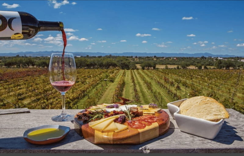 León: Wine Tasting & Vineyard Tour at Viñedo Jalpense - Authentic Experiences and Visitor Feedback