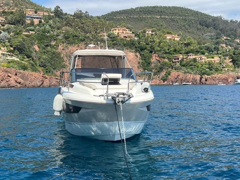 Lerins Islands Cruise and Snorkeling - What Makes This Experience Stand Out?