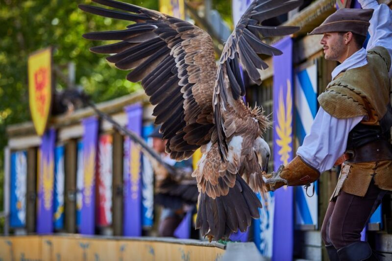 Les Epesses: Puy du Fou Theme Park 1-Day Entry Ticket - Who Will Love Puy du Fou?