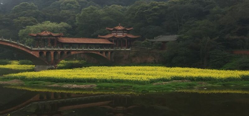 Leshan Buddha, Tea House&Mt. Emei 2 Days Private tour - Who Will Enjoy This Tour?