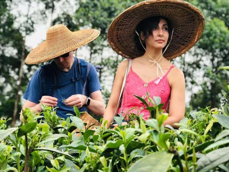 Leshan: Giant Buddha, Tea Village, and Old town Day Trip - A Practical Guide to the Leshan, Tea, and Old Town Day Trip