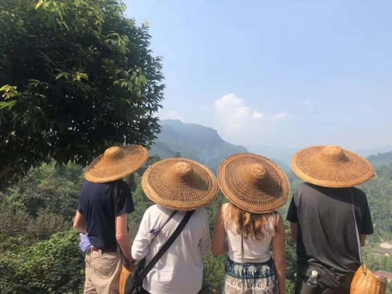 Leshan: Giant Buddha, Tea Village, and Old town Day Trip - A Few Final Thoughts