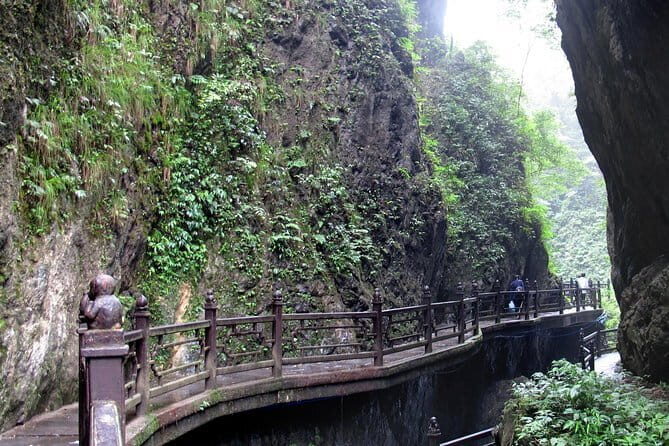 Leshan Grand Buddha & Mount Emei (Golden Summit) by high speed train 2 Day Tour - Who Should Consider This Tour?