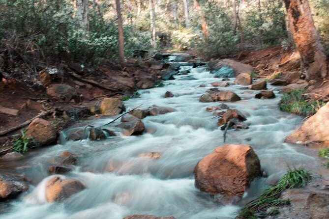 Lesmurdie Falls Scenic Sunset Guided Hike - The Sum Up