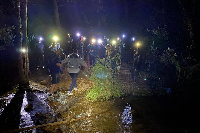 Lesmurdie Falls Sunset & Sparkling Hike - Why This Tour Works Well