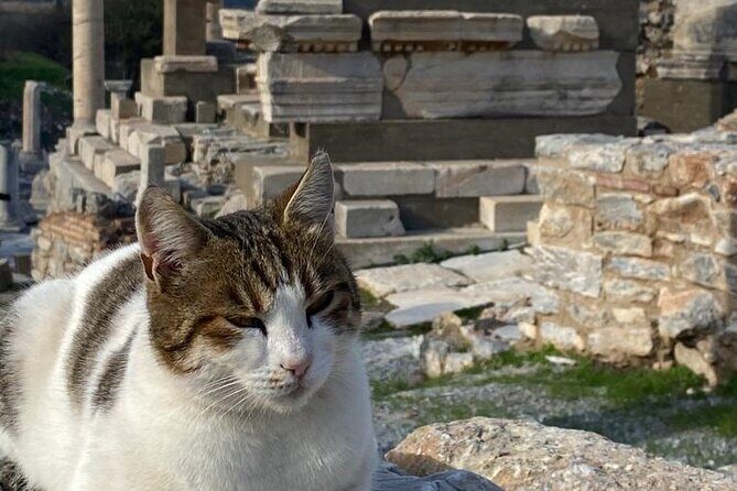 LESS Walking Tour : Private Ephesus, House of Virgin Mary, Temple - A Closer Look at the Ephesus Private Tour Experience