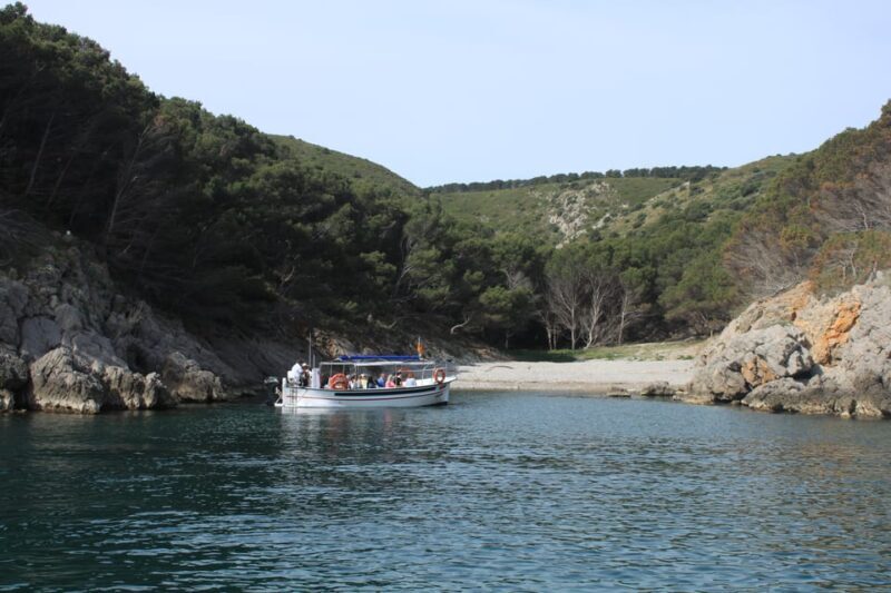 L'Estartit: Boat Trip to the Medes Islands and the NP Caves - Introduction: A Natural Wonder on a Small Boat