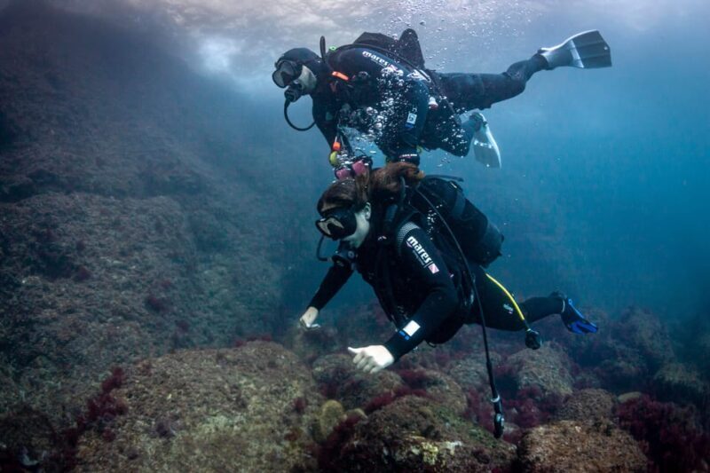 L'Estartit: Dive and Snorkeling in Montgrí Natural Park - Key Points