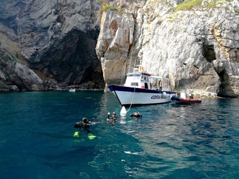 L'Estartit: Dive and Snorkeling in Montgrí Natural Park - A thorough review of the experience