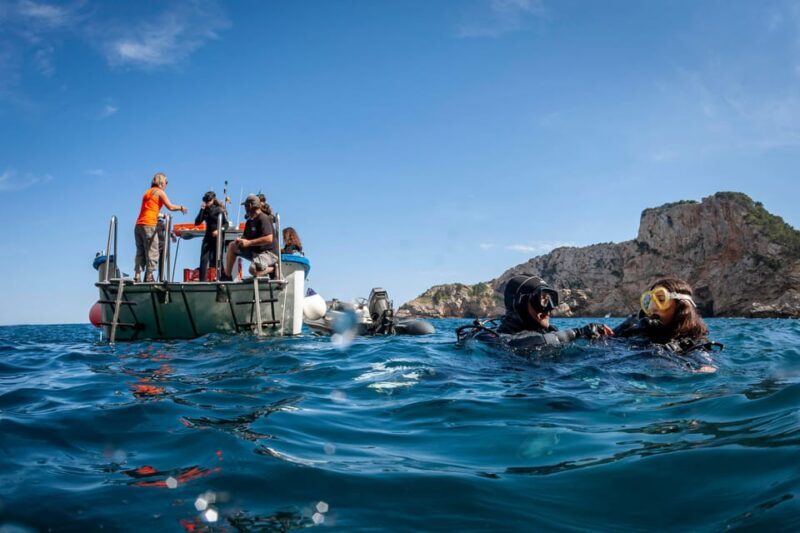 L'Estartit: Dive and Snorkeling in Montgrí Natural Park - How the itinerary unfolds