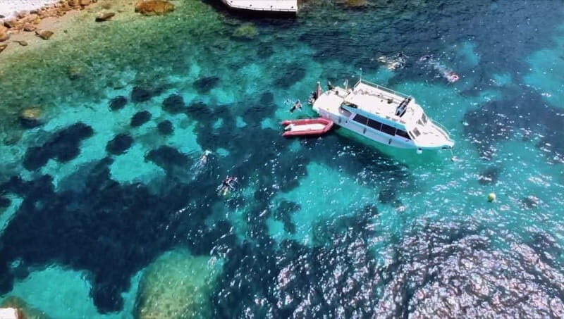 L'Estartit: Medes Islands Cruise with Guided Snorkeling - Key Points