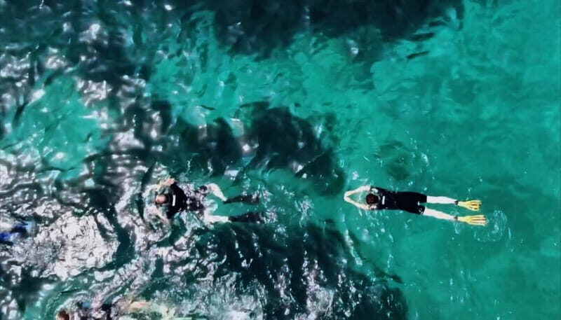 L'Estartit: Medes Islands Cruise with Guided Snorkeling - An In-Depth Look at the Experience
