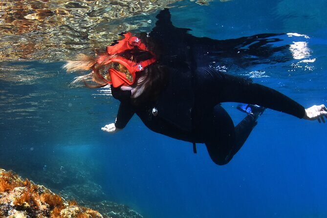 L'Estartit: Snorkeling in the Medes Islands - A Practical Guide to Snorkeling in the Medes Islands