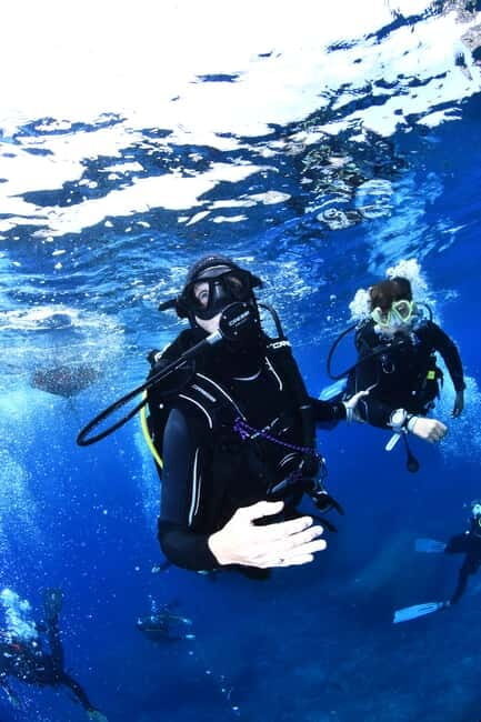 L'Estartit: Try dive in a National Park with us! - Key Points