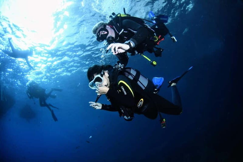 L'Estartit: Try dive in a National Park with us! - A Closer Look at the Experience