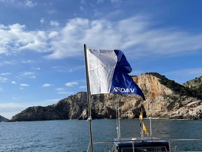 L'Estartit: Try dive in a National Park with us! - Final Thoughts: Why Choose This Experience?