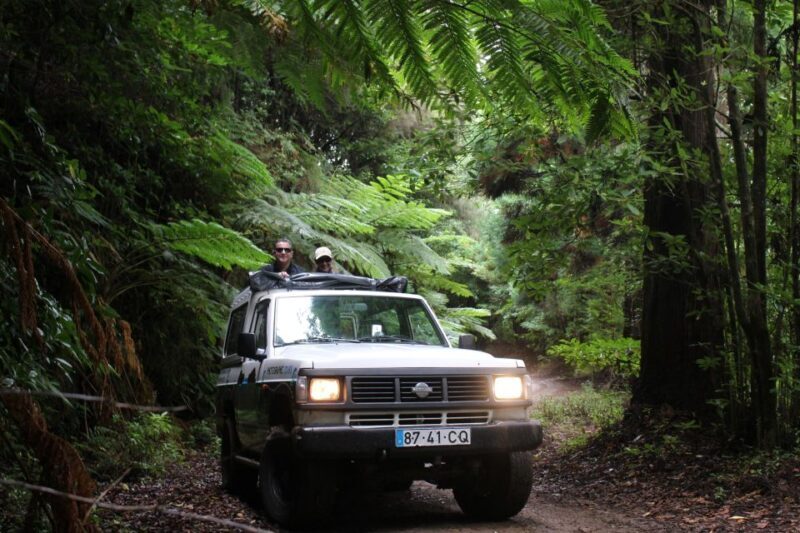 Let-Me-Surprise-You Madeira Full Day Private Tour - An In-Depth Look at the Tour