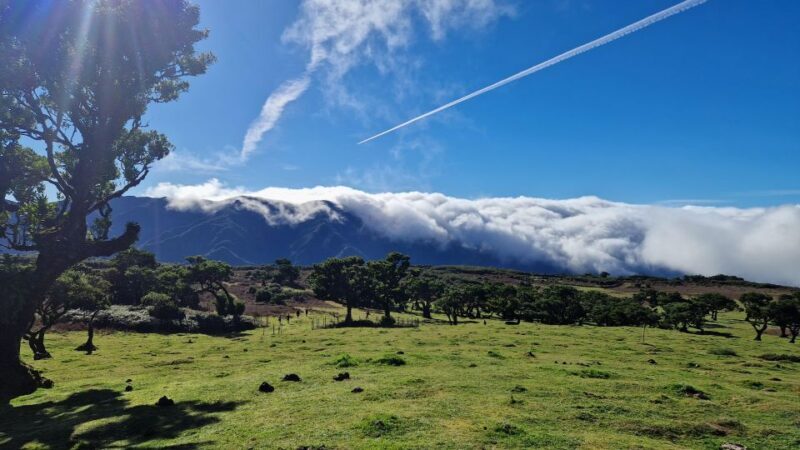 Let-Me-Surprise-You Madeira Full Day Private Tour - Conclusions: Who Will Love This Tour?