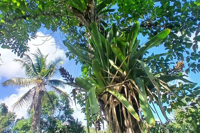 Lethe Mountain Valley Hiking - Practical Tips for Your Visit