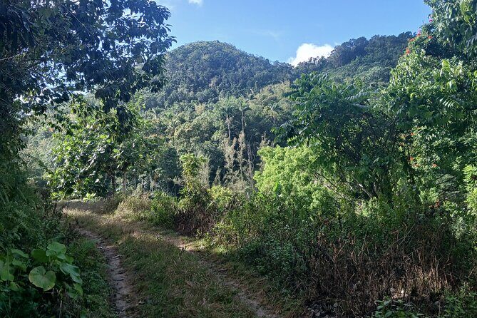 Lethe Mountain Valley Hiking - FAQs