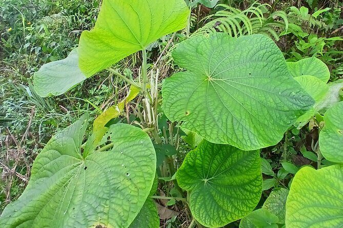 Lethe Mountain Valley Hiking - Final Thoughts