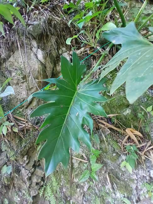 Lethe Mountain Valley Hiking - Key Points